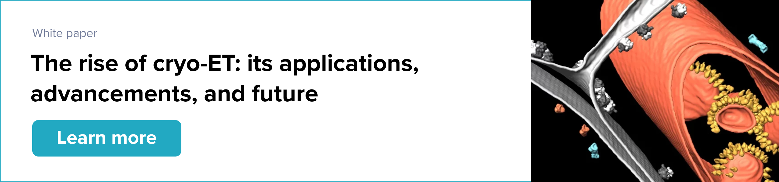 What is the difference between cryo-EM and cryo-ET?